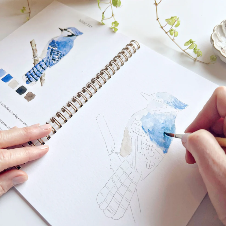 Watercolor Workbook – Emily Lex Studio (12 Sketches, 120lb Paper ...