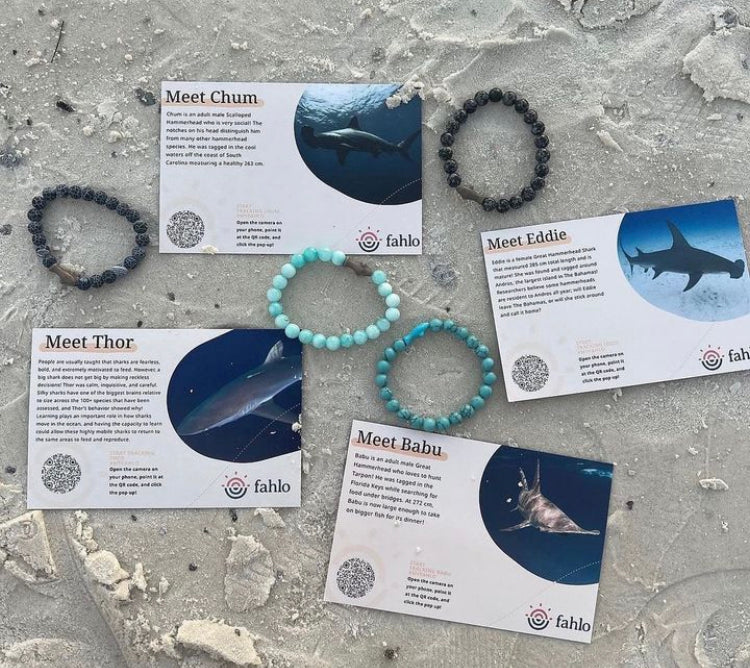Fahlo Voyage Bracelet – Shark Tracker | Ocean-Inspired Jewelry – Daisy ...